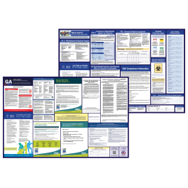 2026 Georgia Labor Law and OSHA Safety Posters Bundle