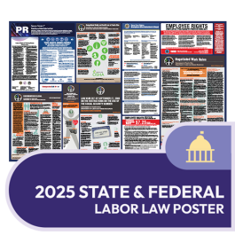 2026 Puerto Rico Labor Law Poster | All-in-One State & Federal