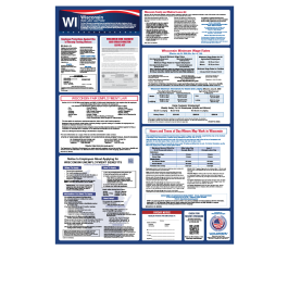 Wisconsin State-Only Labor Law Poster